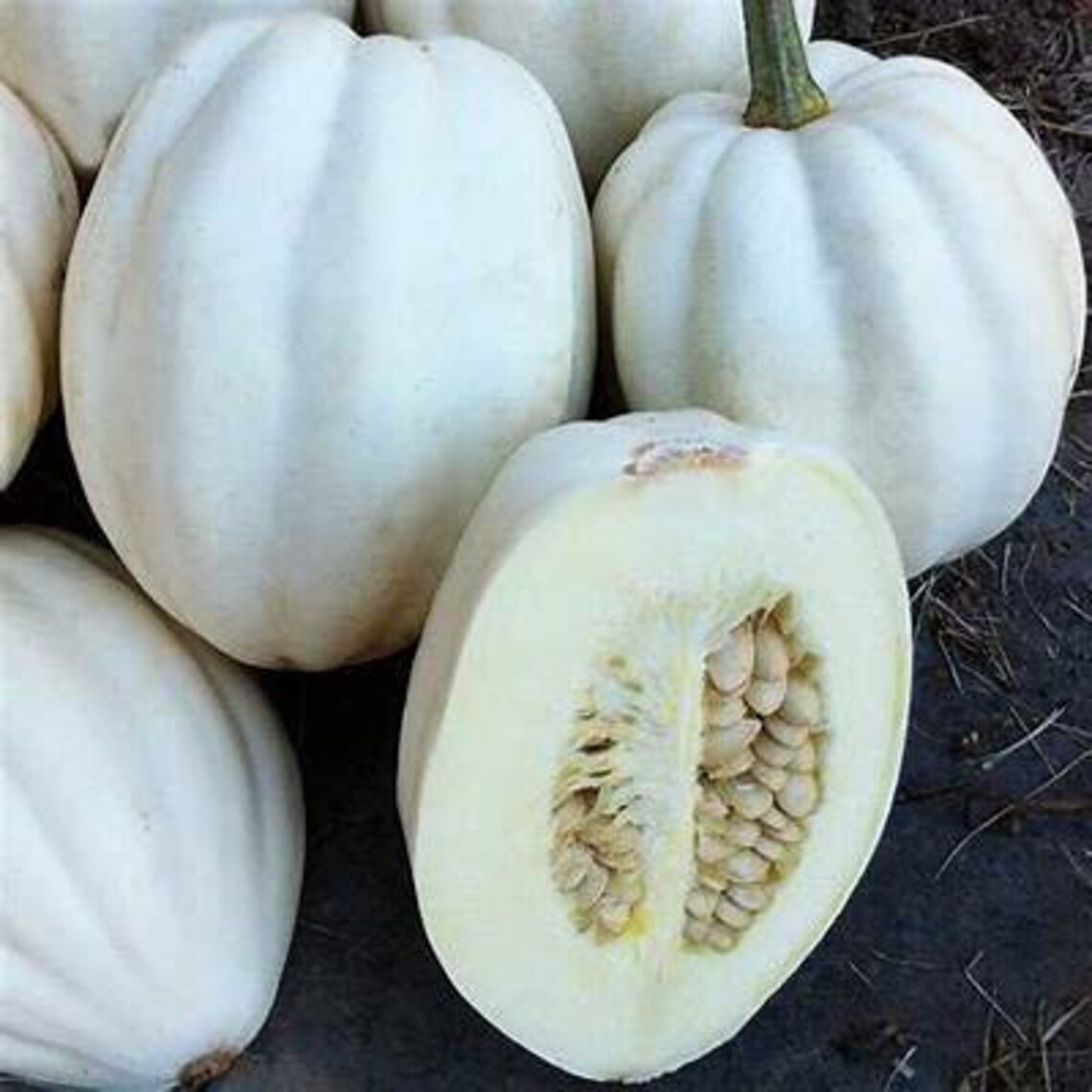 25 Swan White Acorn Squash Seeds - Etsy