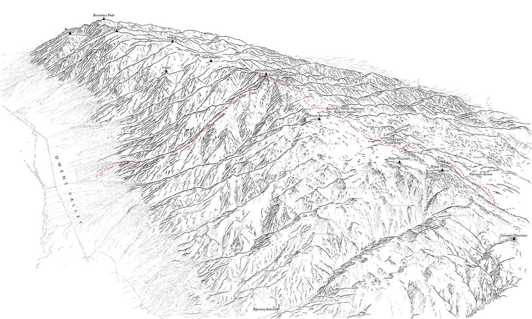 White Mountain Peak (14er), White Mountain Range, California. Line ...