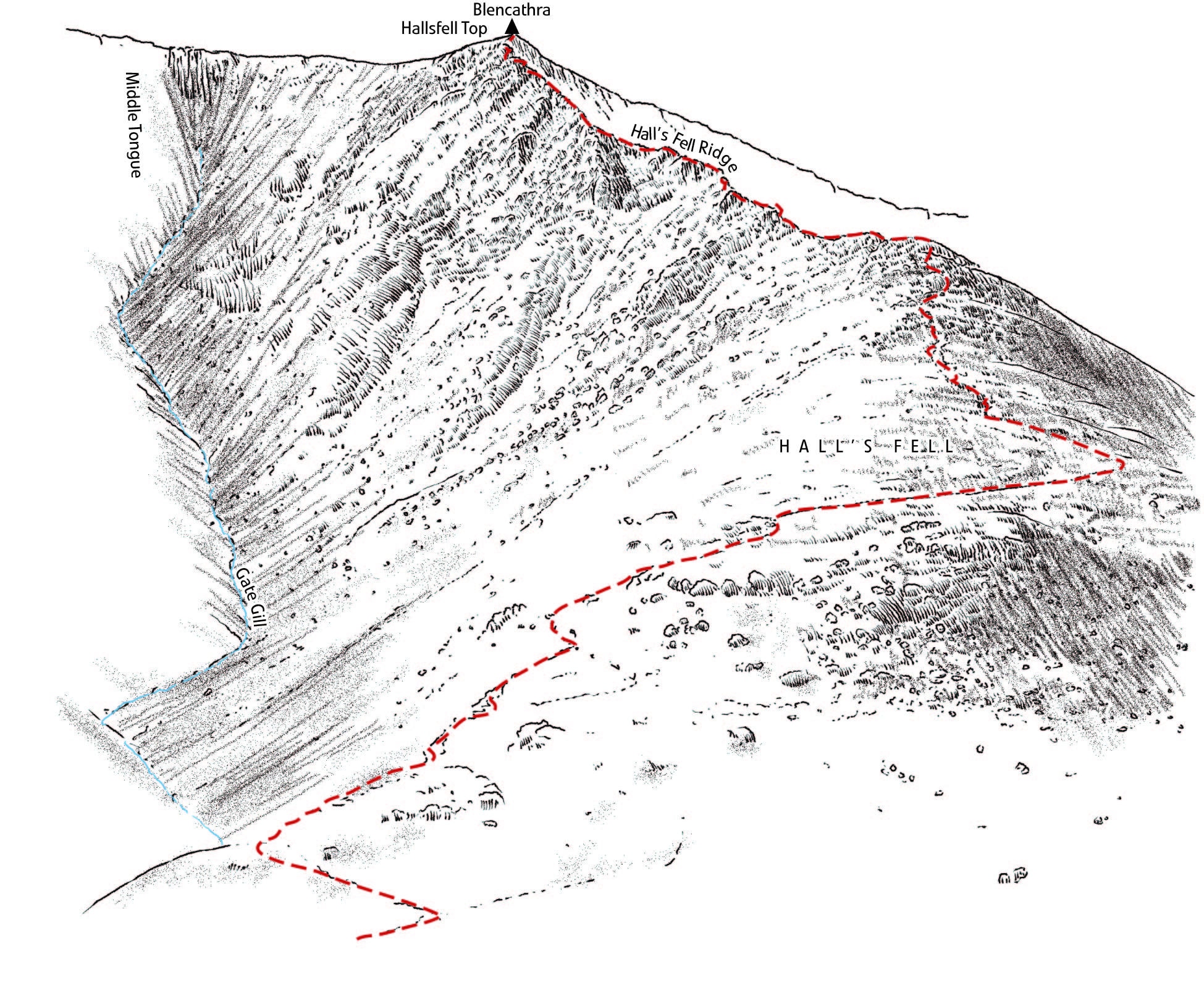 Hall's Fell Ridge, Blencathra, Lake District, Line Illustration Showing ...