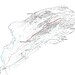 Ben Nevis North Face, Line Illustration Showing All the Classic ...