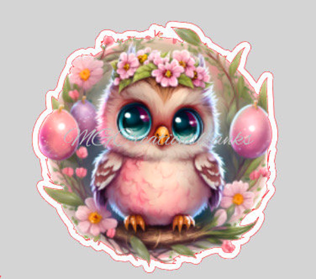 2 Owl Clear Acrylic Blanks for Badge Reels With Matching Vinyl Decal ...