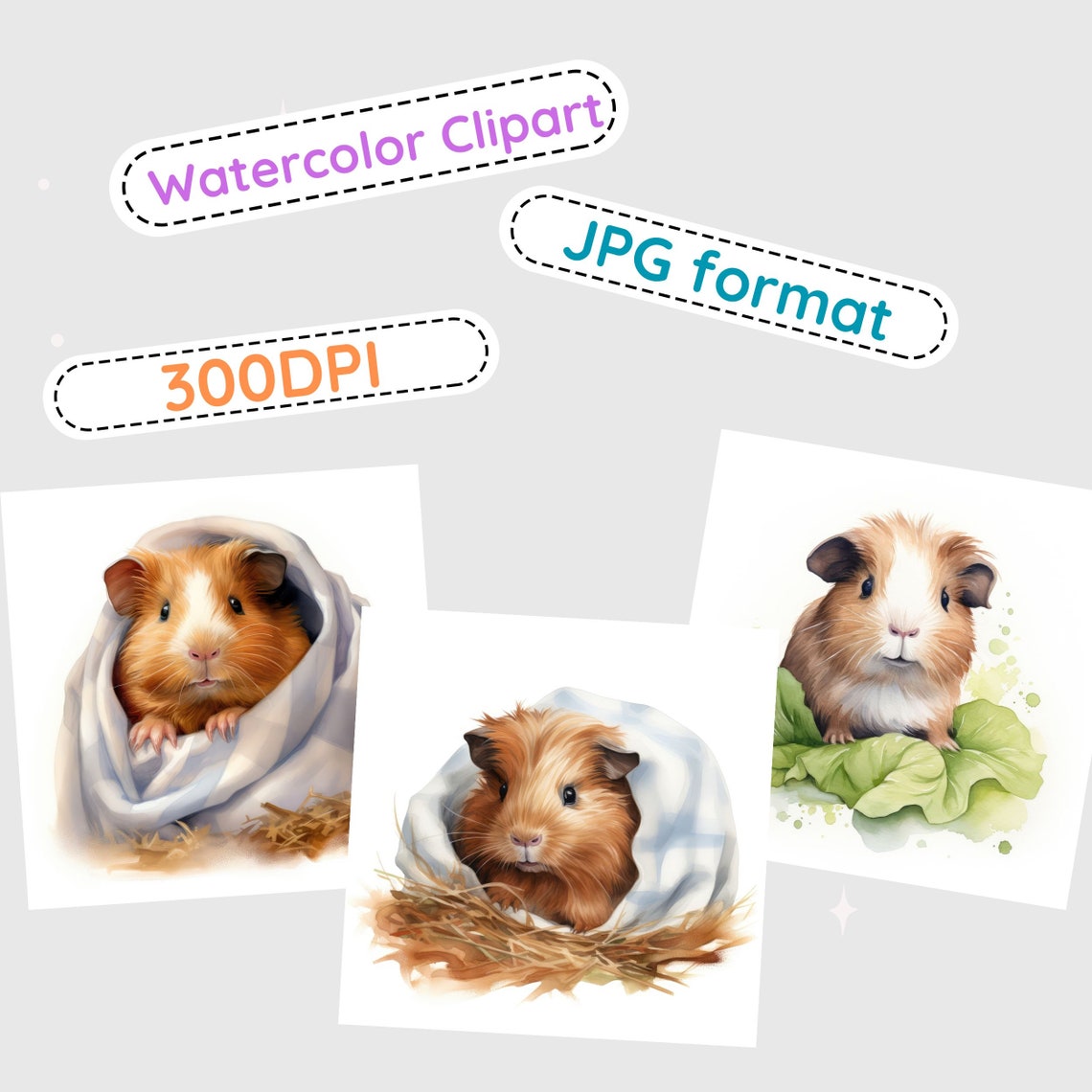 Cute Guinea Pig Clipart, 12 High Quality Jpgs, Digital Crafting ...
