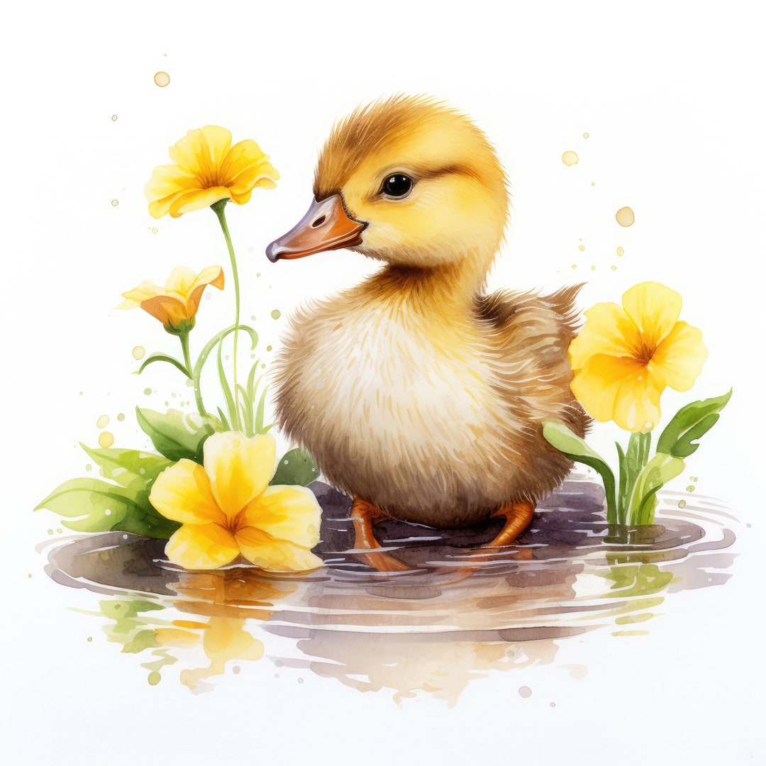 Cute Watercolor Duckling Clipart, 12 High Quality Jpgs, Duckling ...