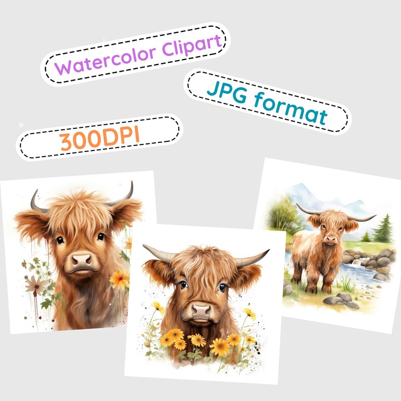 Cute Watercolor Highland Cow Clipart, 12 High Quality Jpgs, Highland ...