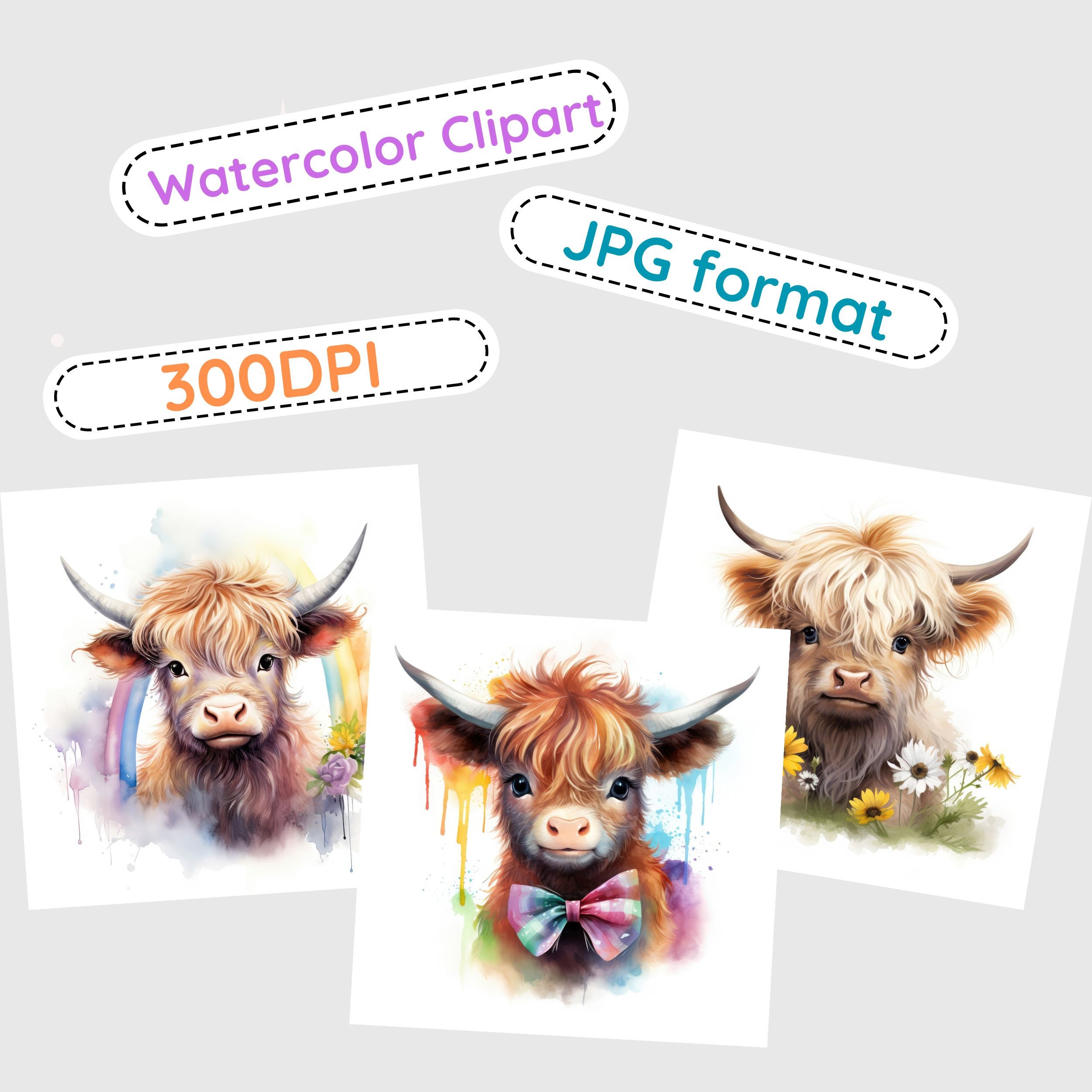 Cute Watercolor Highland Cow Clipart, 12 High Quality Jpgs, Highland ...