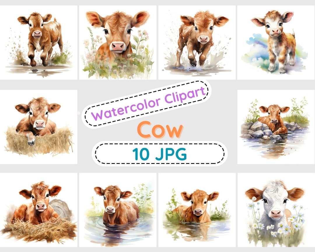 Cute Watercolor Cow Clipart, 10 High Quality Jpgs, Baby Cow, Digital ...