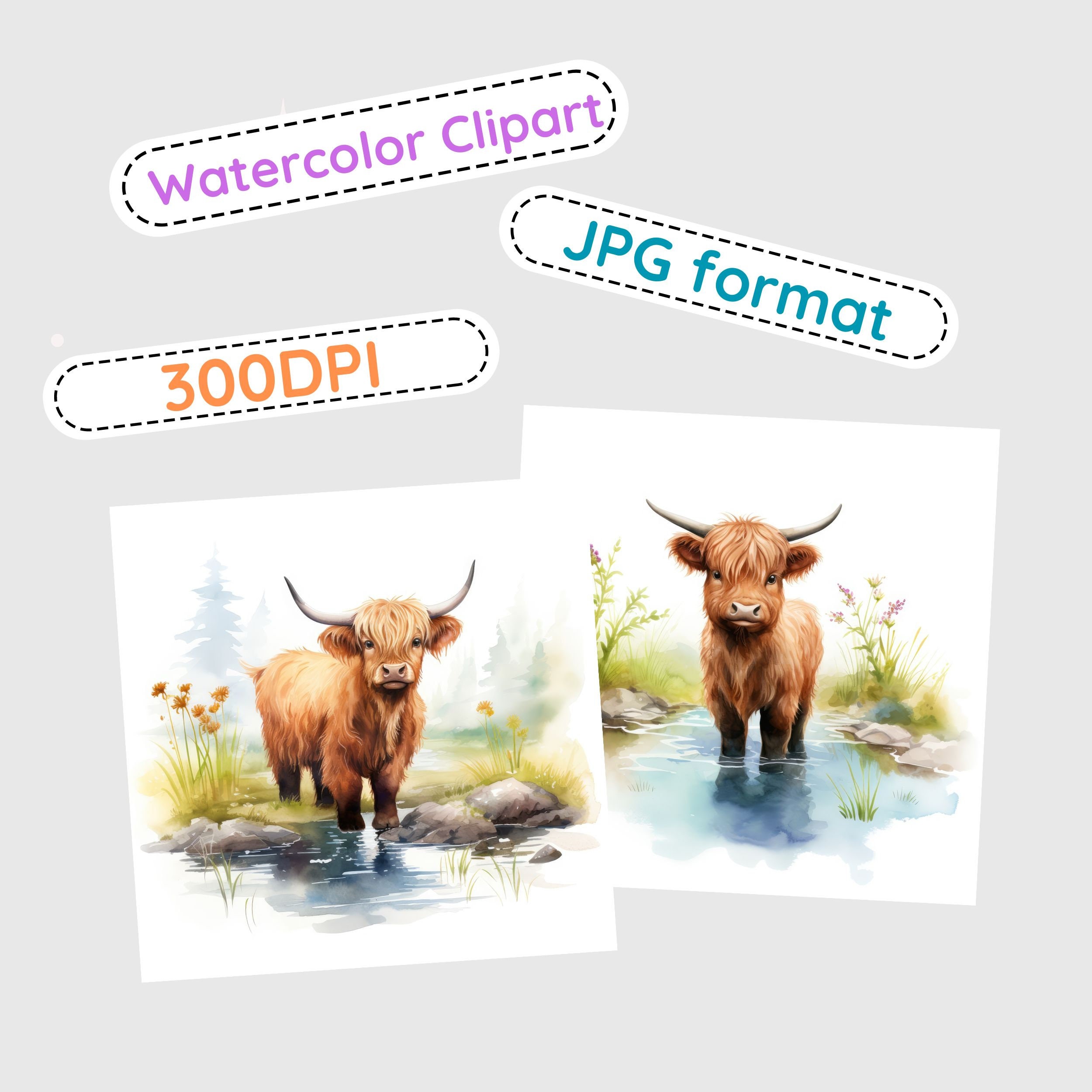 Cute Watercolor Highland Cow Clipart, 12 High Quality Jpgs, Highland ...