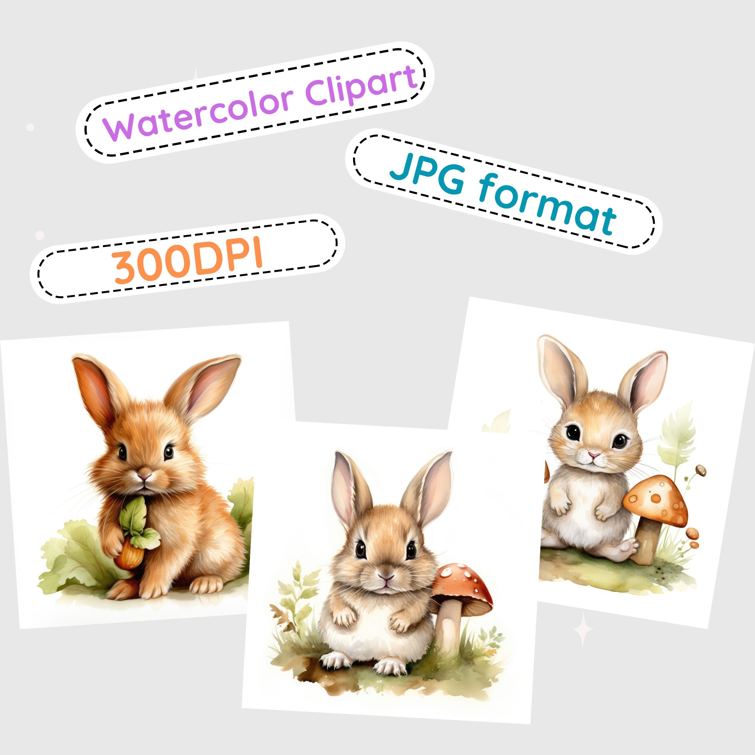 Cute Bunny Clipart, 12 High Quality Jpgs, Nursery Bunnies, Digital ...