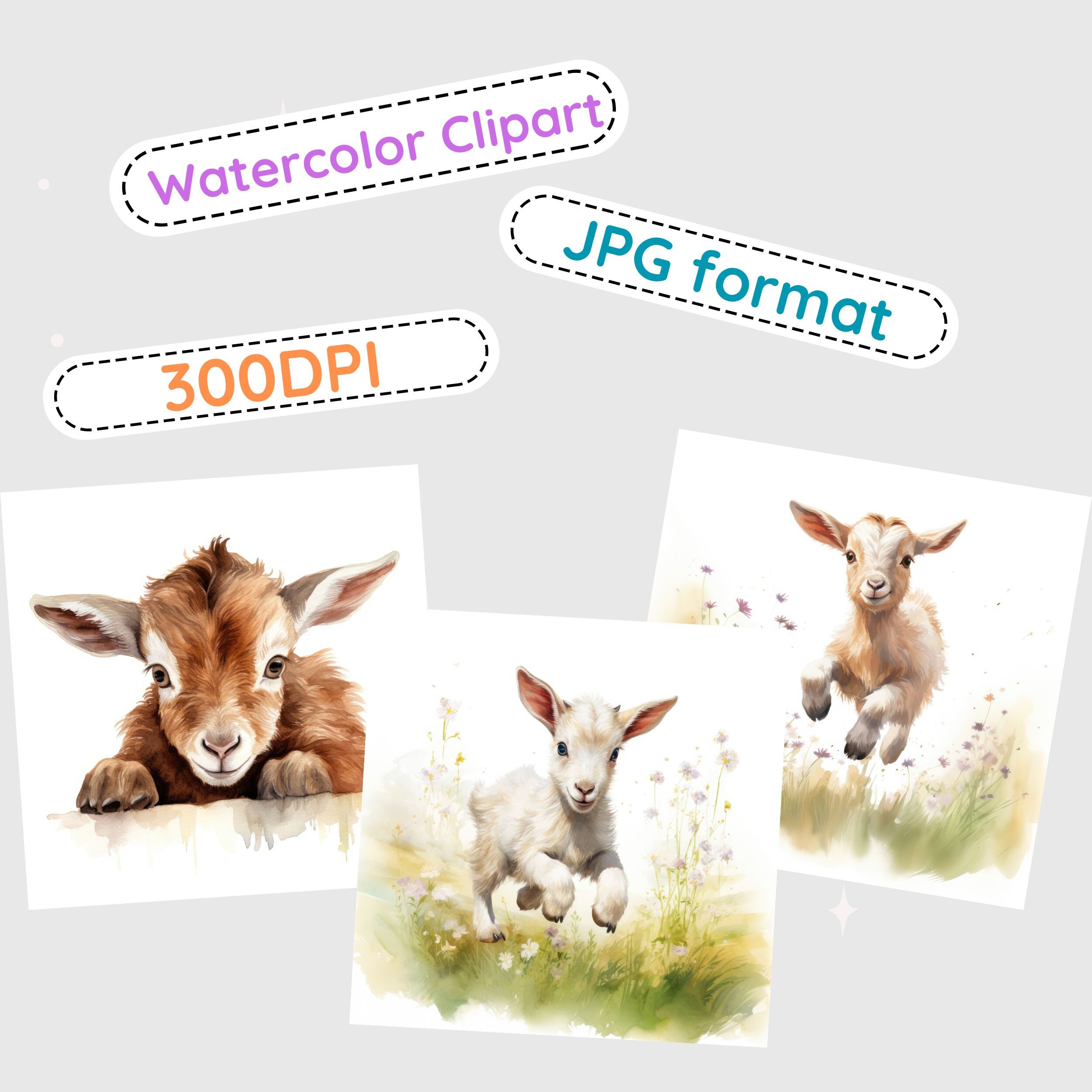 Cute Watercolor Goat Clipart, 12 High Quality Jpgs, Baby Goat Nursery ...