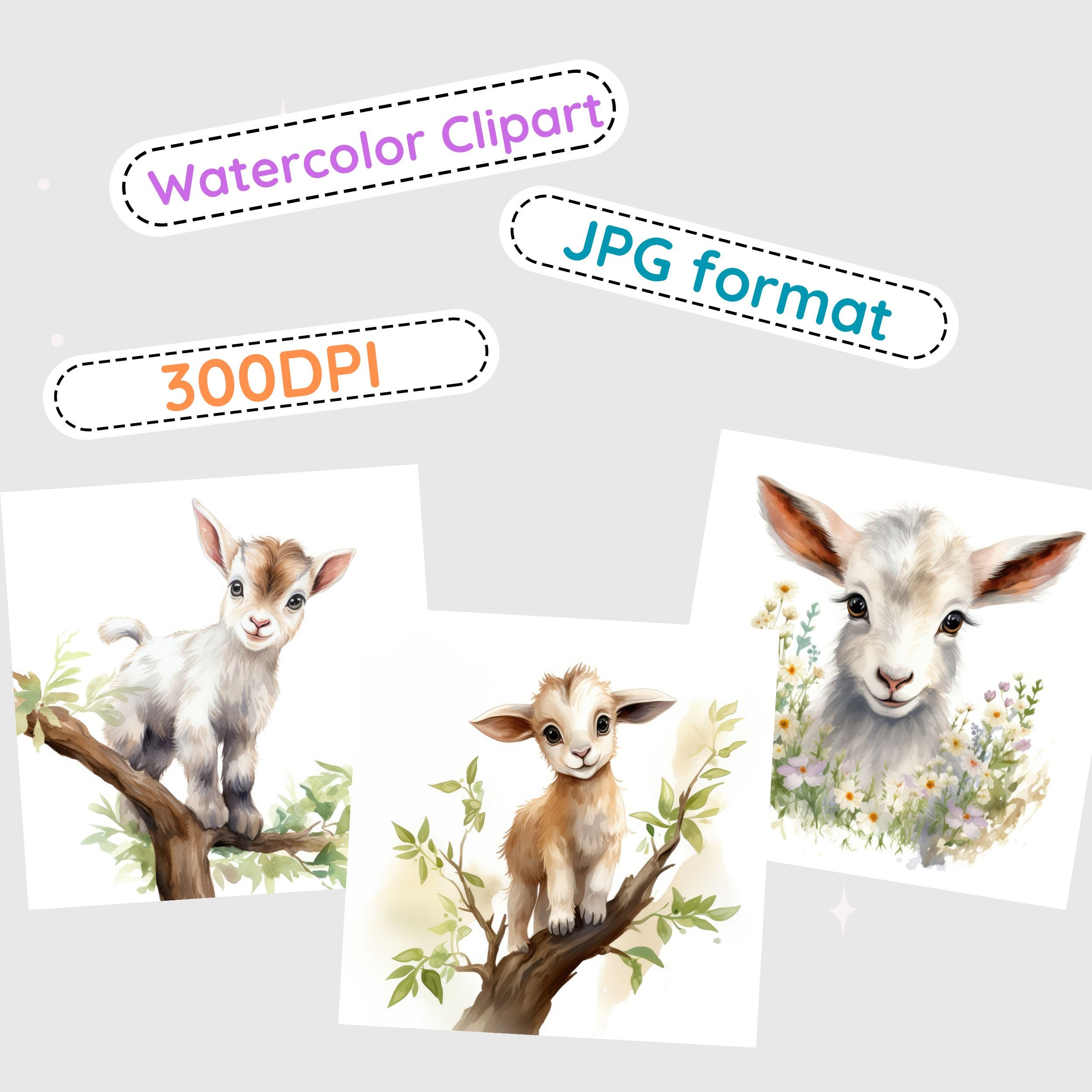 Cute Watercolor Goat Clipart, 12 High Quality Jpgs, Baby Goat Nursery ...