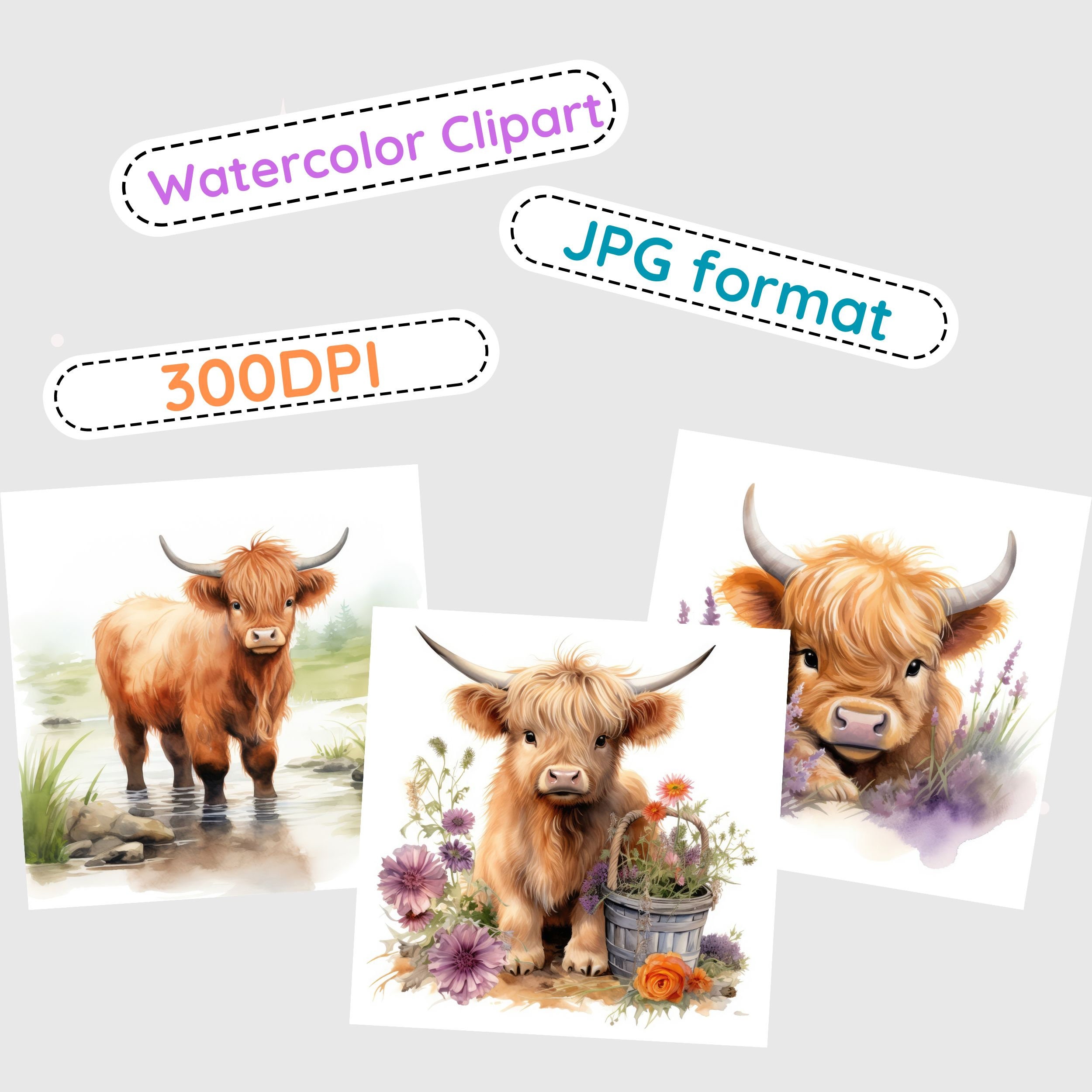 Cute Watercolor Highland Cow Clipart, 12 High Quality Jpgs, Highland ...