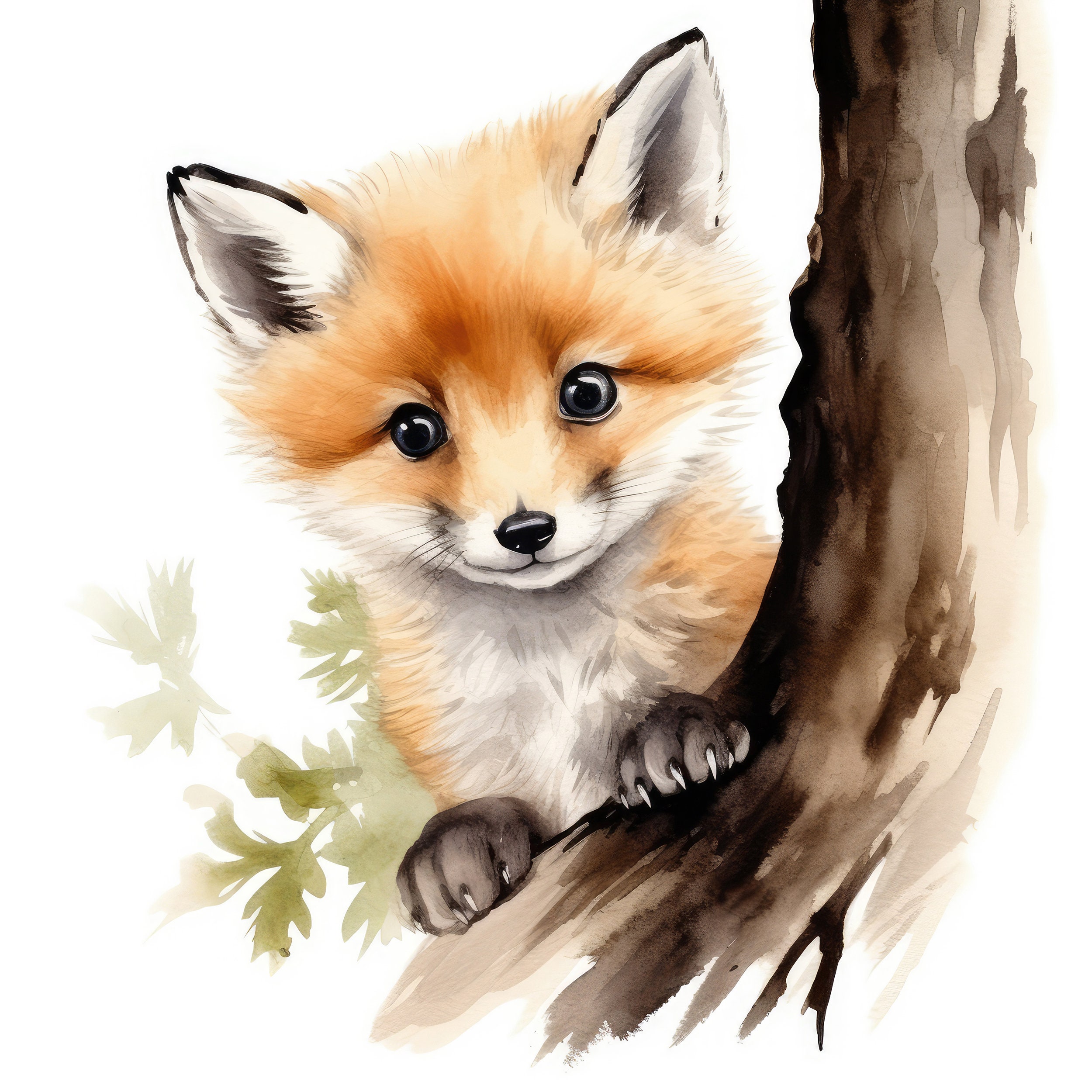 Cute Fox Clipart, 12 High Quality Jpgs, Digital Crafting, Printable ...