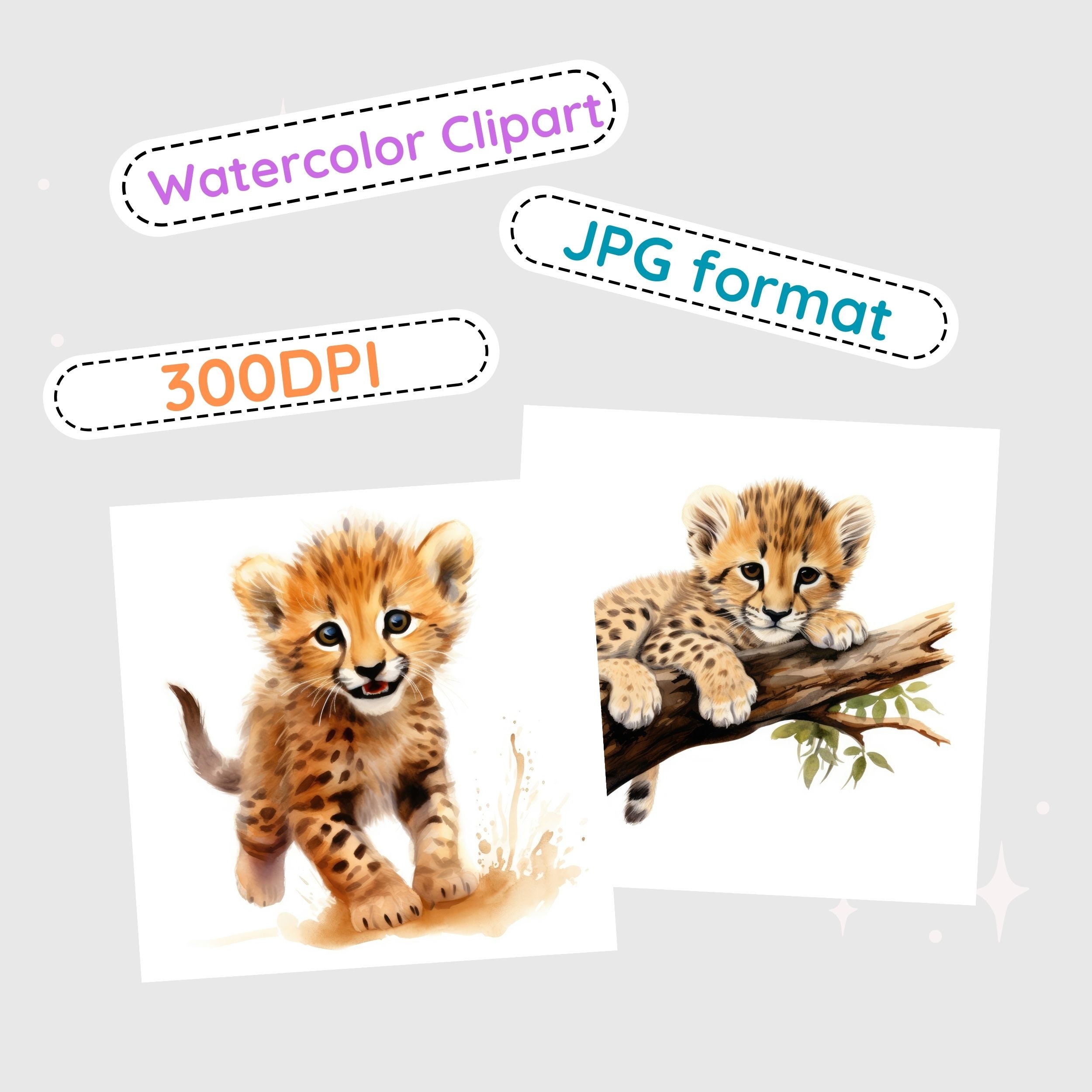 Cute Baby Cheetah Clipart, 10 High Quality Jpgs, Baby Safari Animals ...