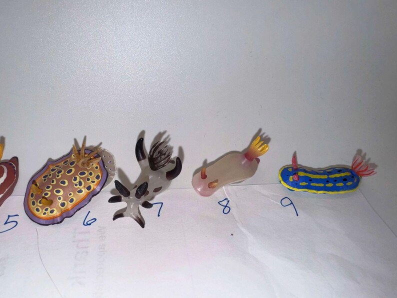 Nudibranch / Sea Slug Magnets From Japan - Etsy