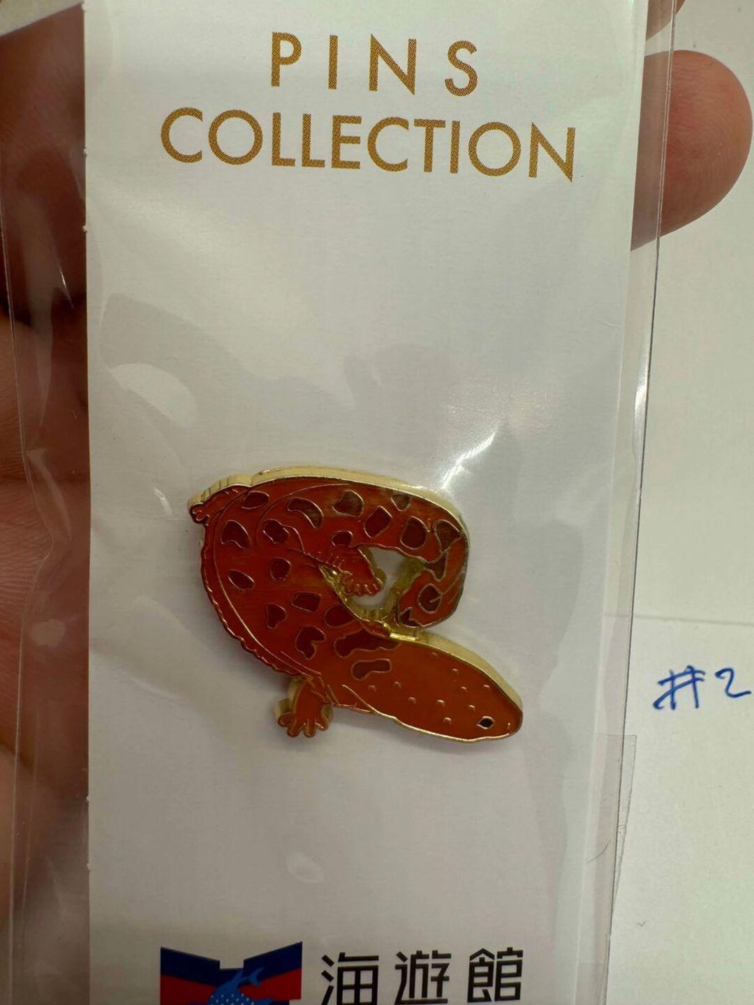 Giant Salamander Pin Badge From Japan - Etsy