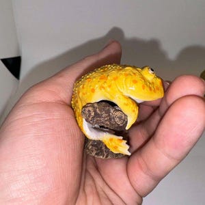 Pacman / Desert Rain Frog Ring Figures - Etsy