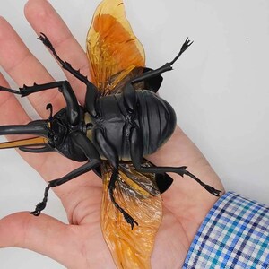 Giant Beetle 6 gachapon - Etsy