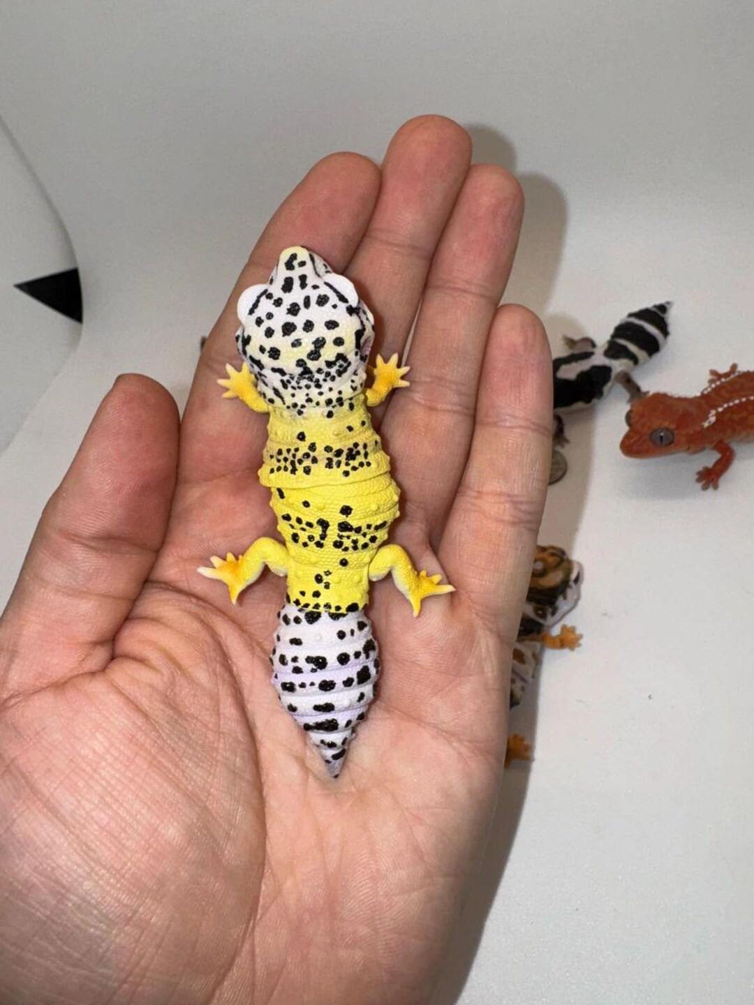 Cute Leopard Gecko Gachapon Figure (set 6 2025) - Etsy