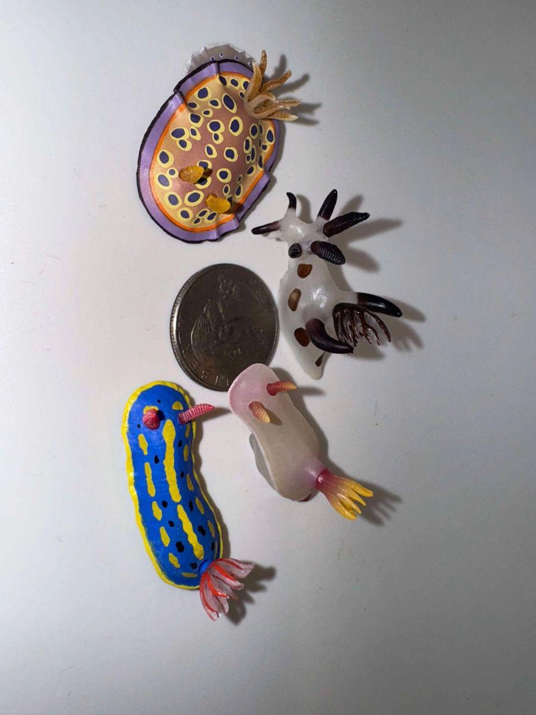 Nudibranch / Sea Slug Magnets From Japan - Etsy