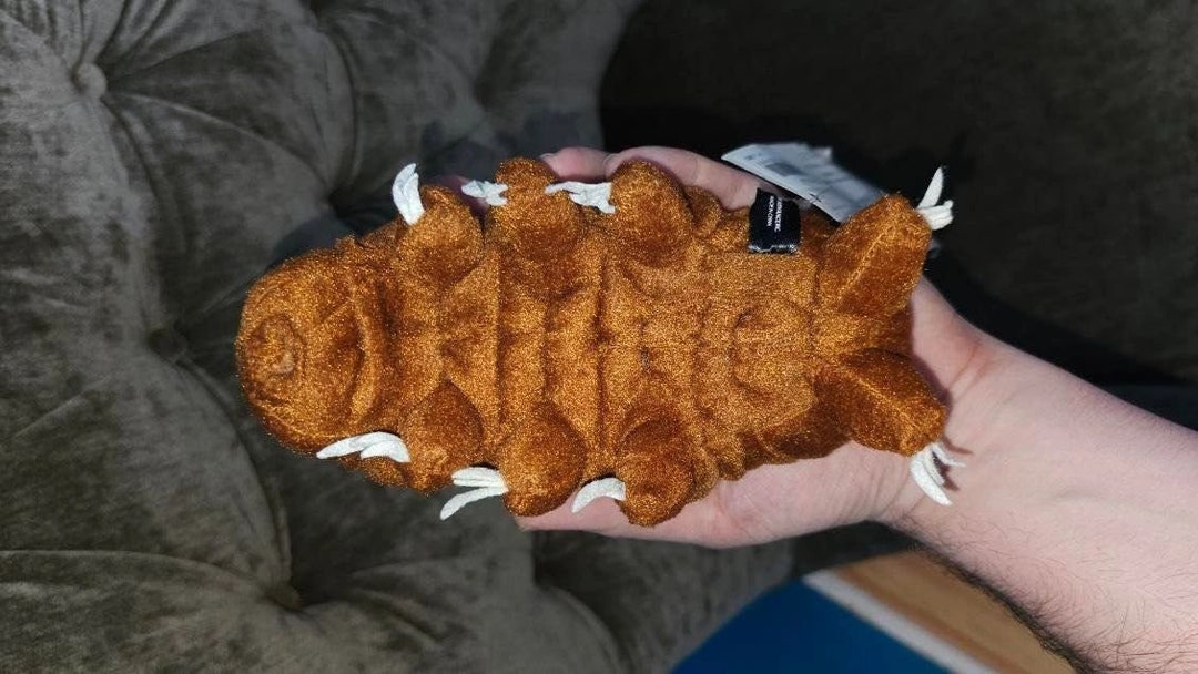 Realistic Tardigrade Plush From Japan - Etsy