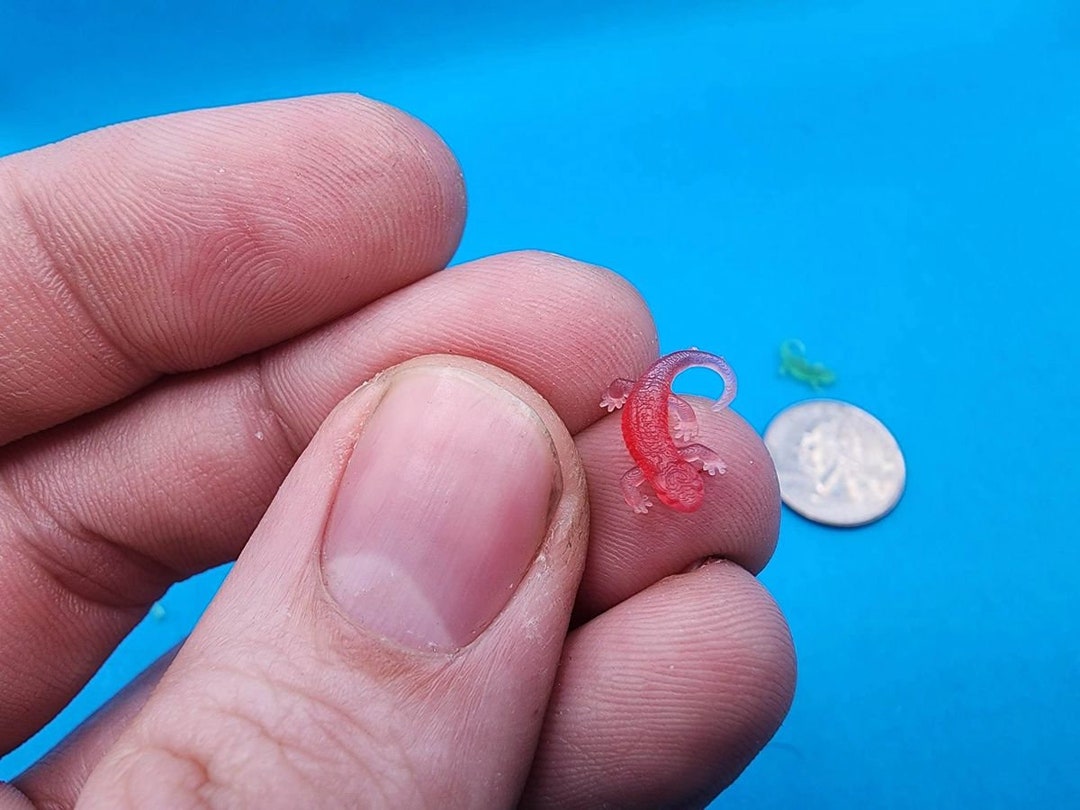 Nano Good Luck Fire Salamander - Etsy