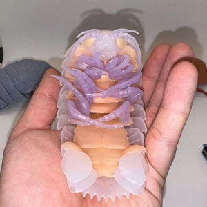 Deep Sea Isopod Dango Mushi Gachapon Figures Set 11 - Etsy