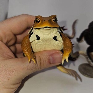 Realistic Toad Gachapon Figure - Etsy