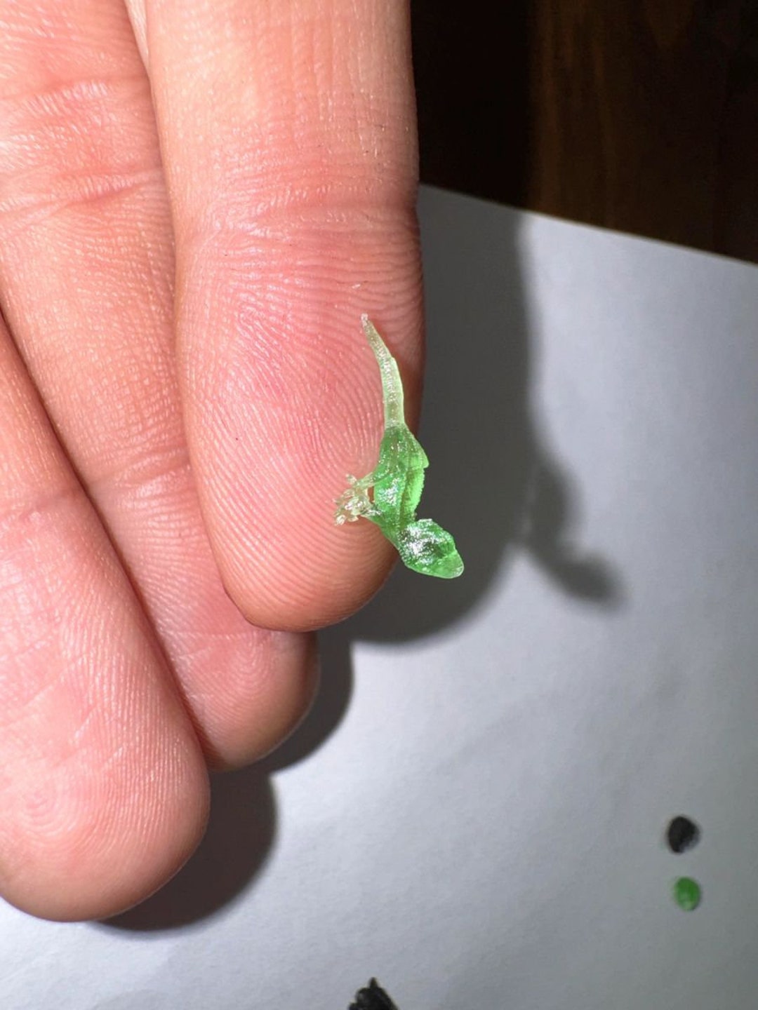 Nano Crested Gecko Miniature Model - Etsy