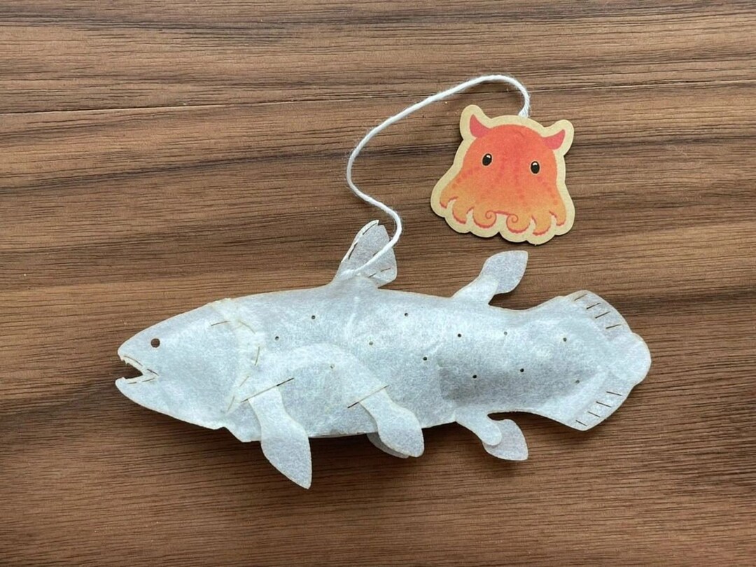 Coelacanth Butterfly Tea Bag Ocean Teabag - Etsy