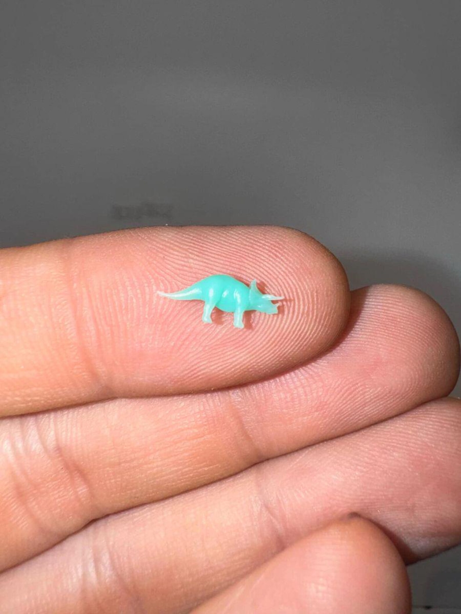 Nano Miniature Triceratops Dinosaur - Etsy