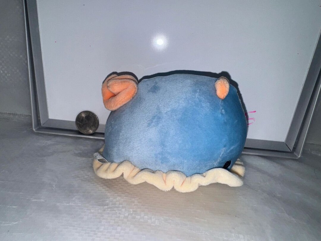Marshmallow Sea Slug Plush From Japan - Etsy