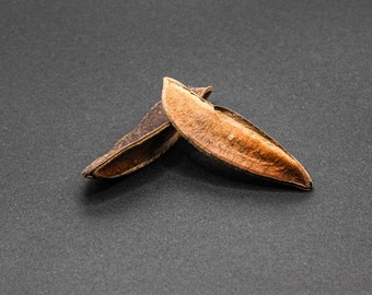 Triangular Pods - Etsy