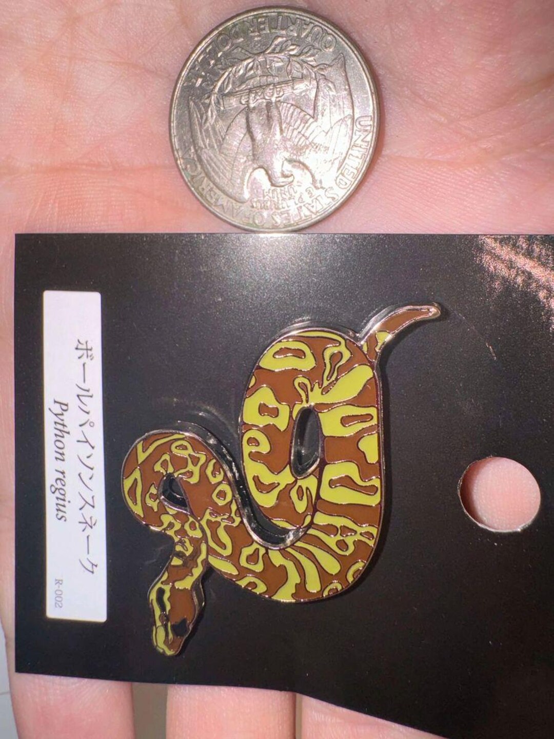 Ball Python Pin Badge From Japan - Etsy