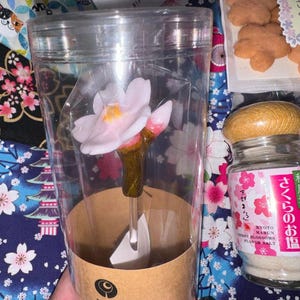 Sakura Season Lover's Ultimate Gift Set - Etsy