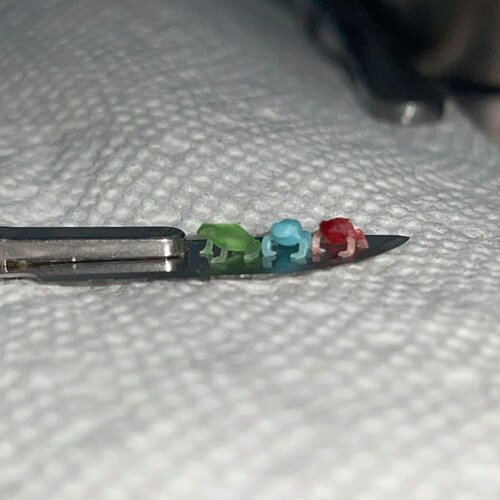 Nano Good Luck Dart Frog - Etsy