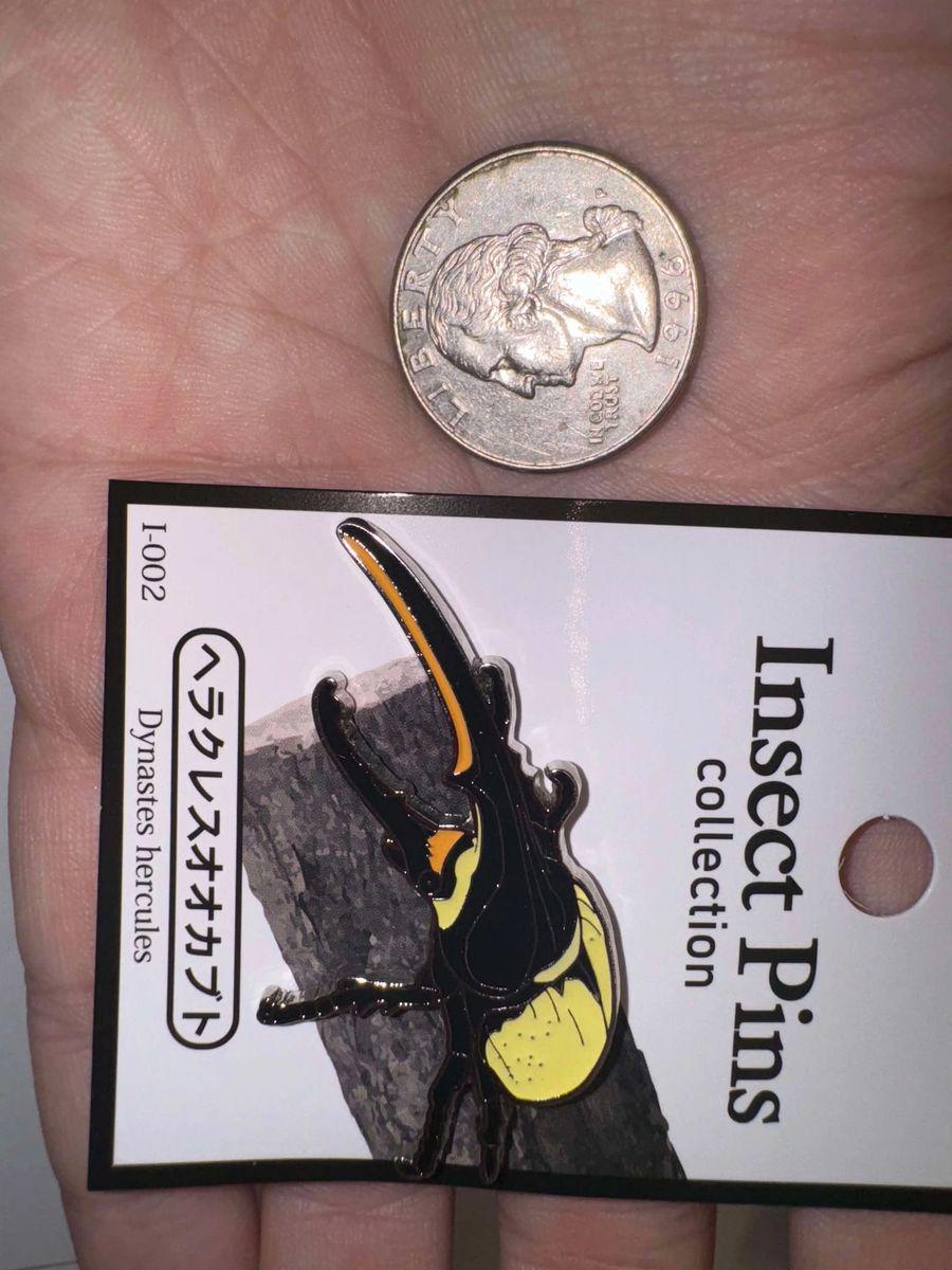 Hercules Beetle Pin Badge From Japan - Etsy
