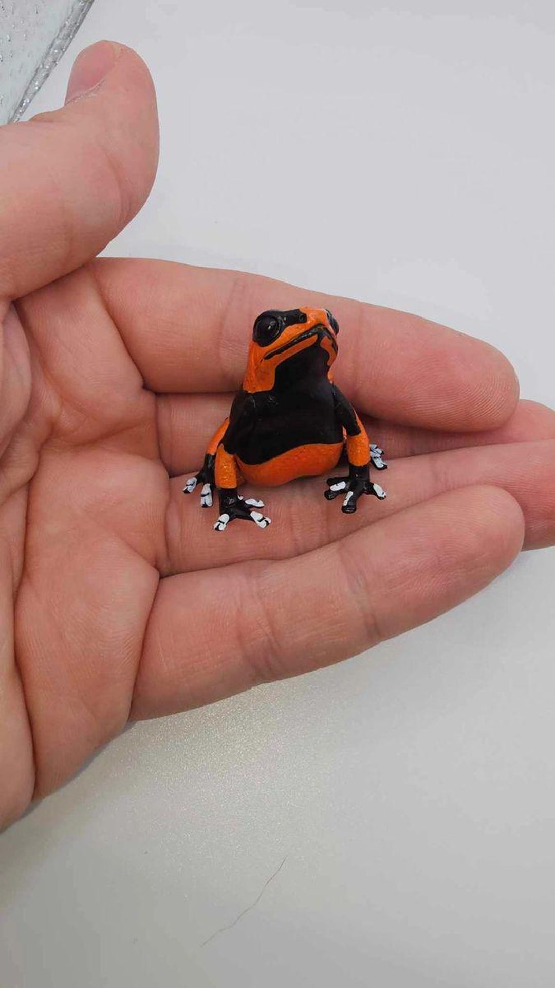Red Lehmanni Frog Model (gachapon Toy) - Etsy