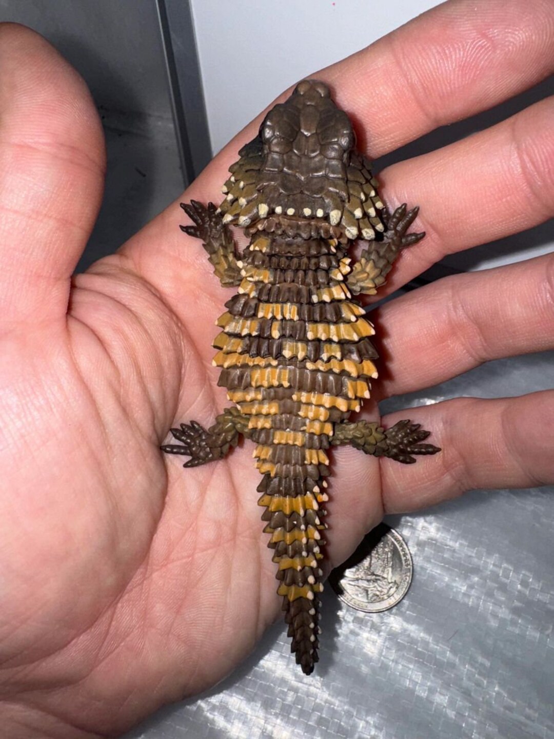 Armored Lizard Gachapon Figure From Japan - Etsy
