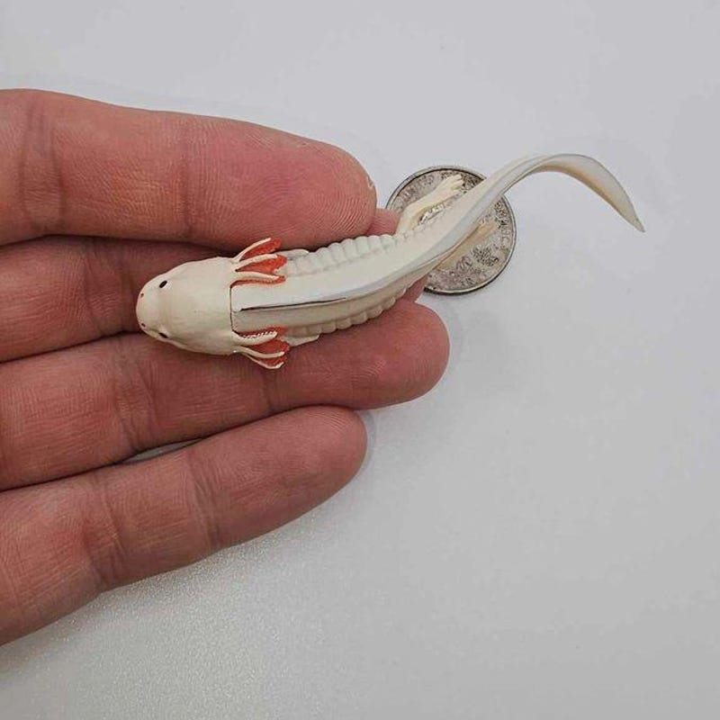 Realistic Axolotl Toy - Etsy