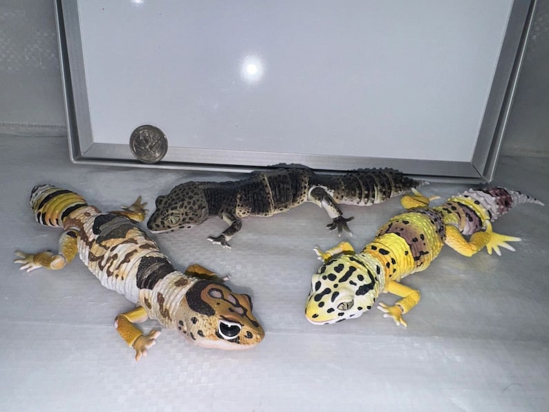 Bandai Leopard Gecko Gachapon - Limited Edition Japan - Etsy