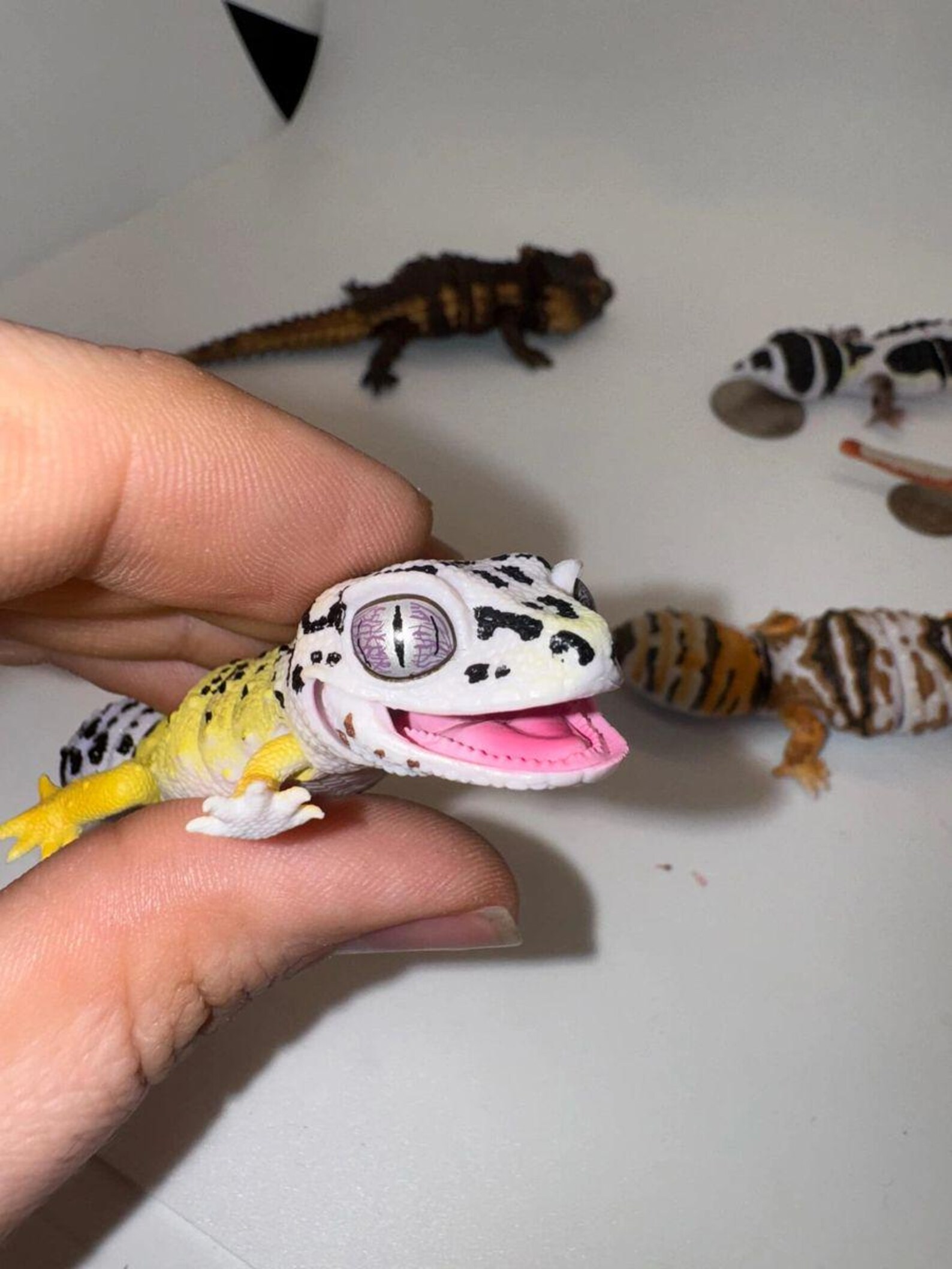 Cute Leopard Gecko Gachapon Figure (set 6 2025) - Etsy