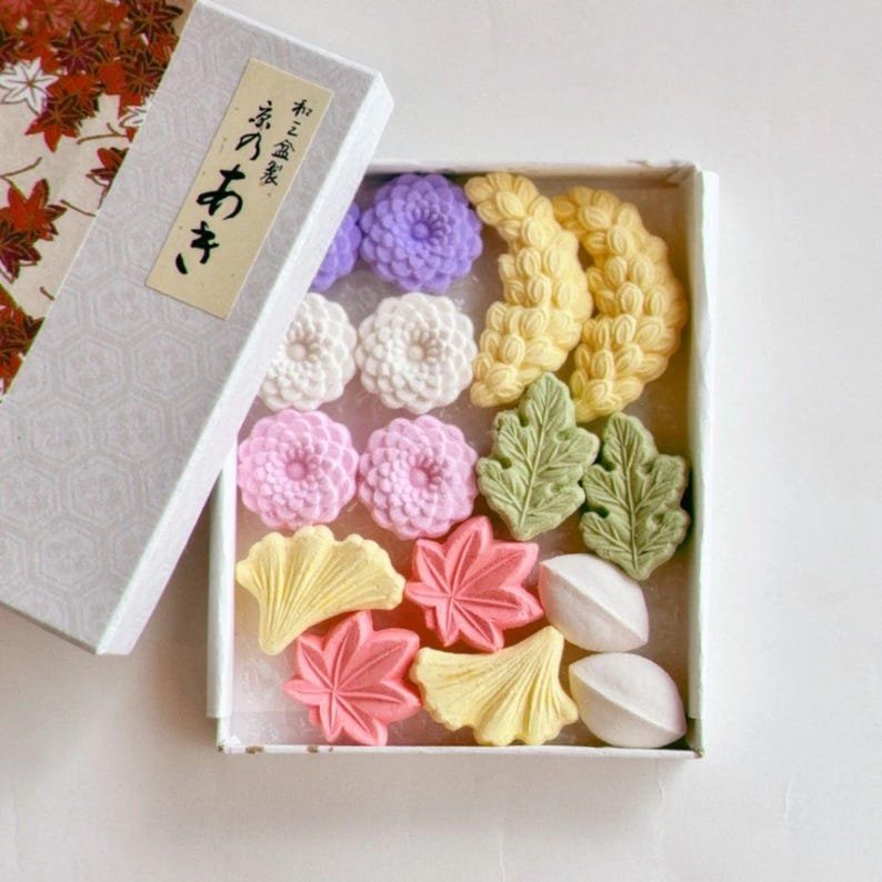 Japanese Higashi Wasanbon Autumn Sweets Gift Box – Seasonal Wagashi ...