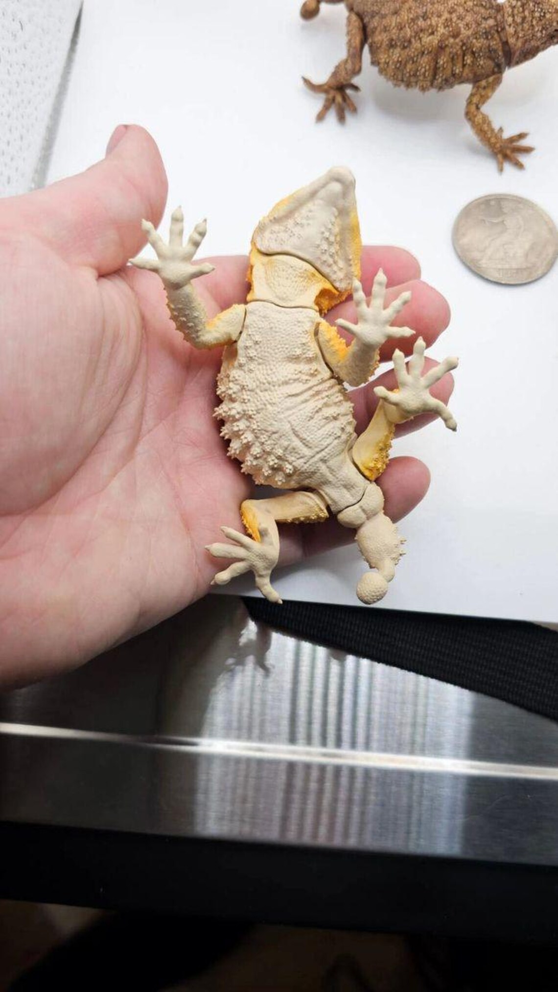 Realistic Knob-tailed Gecko Gachapon Figure - Etsy