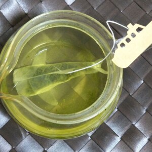 Whale Shark Green Tea Bag Ocean Teabag - Etsy