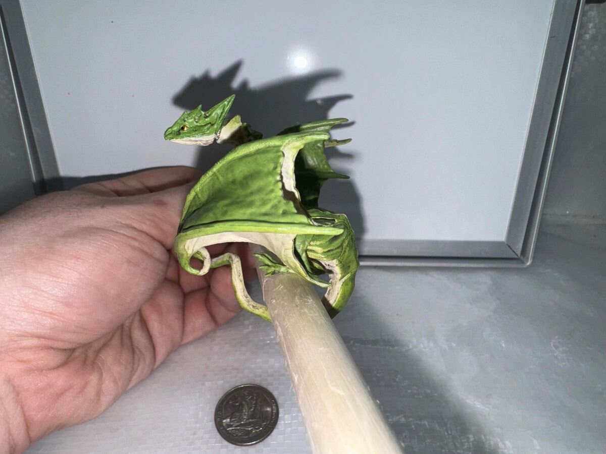 Little Finger Dragons From Japan - Etsy