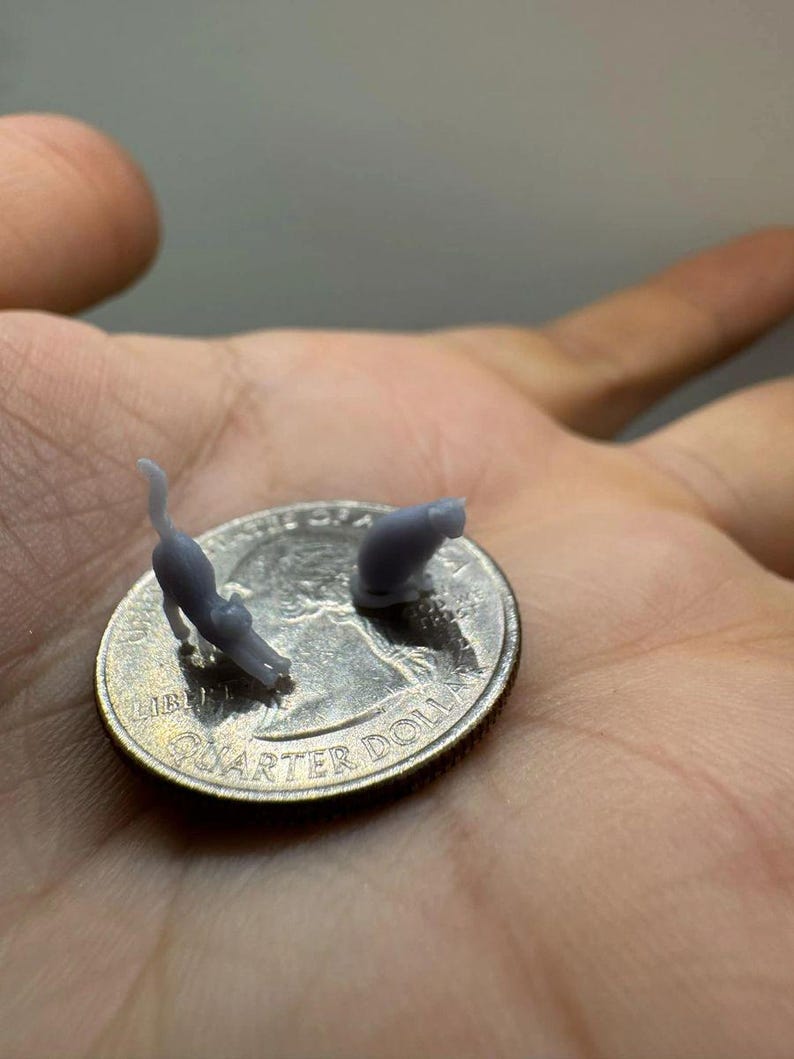 Nano Miniature Cat - Etsy