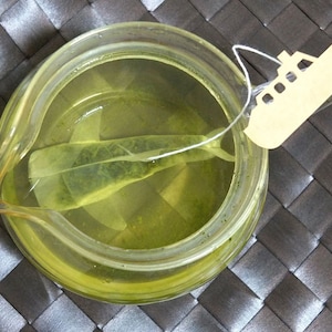 Ocean-teabag Gift Set 10 Types Ocean Teabag - Etsy