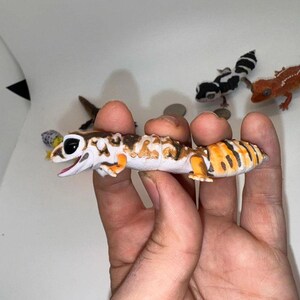 Cute Leopard Gecko Gachapon Figure (set 6 2025) - Etsy