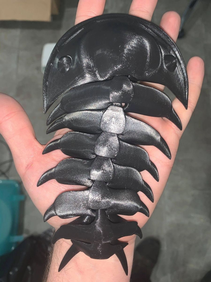 Giant Flexible Trilobite | Etsy