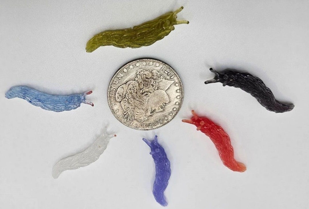 Nudibranch / Sea Slug Model V5 Glow in the Dark - Etsy